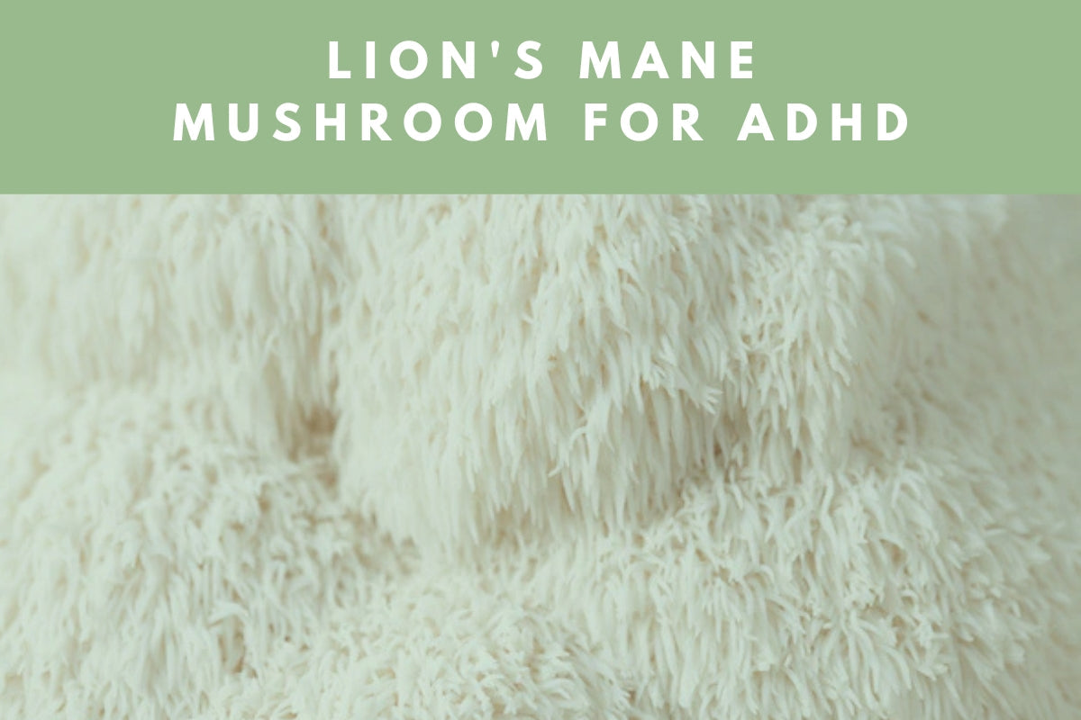 Lion's Mane Mushroom for ADHD - Does It Really Help? – RitualandFlow